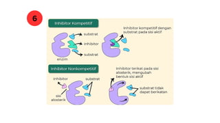 MATERI ENZIM - Biologi Kurikulum Indonesia | PDF