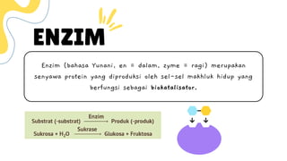 MATERI ENZIM - Biologi Kurikulum Indonesia | PDF