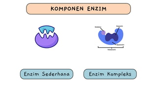 MATERI ENZIM - Biologi Kurikulum Indonesia | PDF