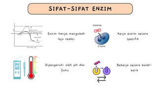 MATERI ENZIM - Biologi Kurikulum Indonesia | PDF