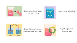 MATERI ENZIM - Biologi Kurikulum Indonesia | PDF