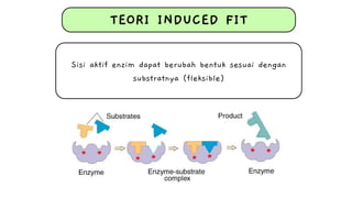 MATERI ENZIM - Biologi Kurikulum Indonesia | PDF