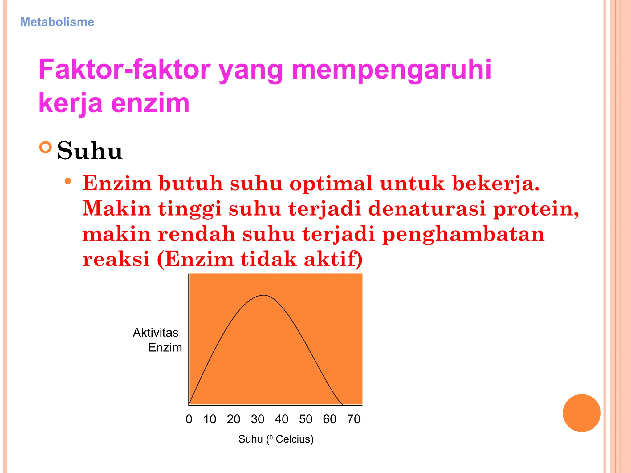 Materi Kelas XII Metabolisme :Enzim dan ATP.ppt