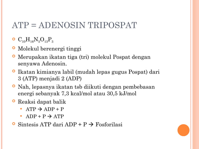 Materi Kelas XII Metabolisme :Enzim dan ATP.ppt