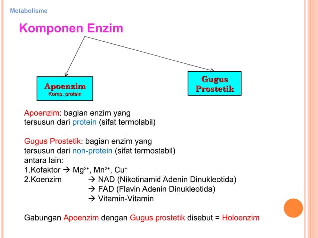 Materi Kelas XII Metabolisme :Enzim dan ATP.ppt