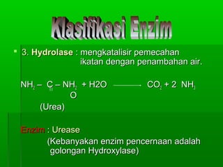 Enzim dan koenzim | PPT