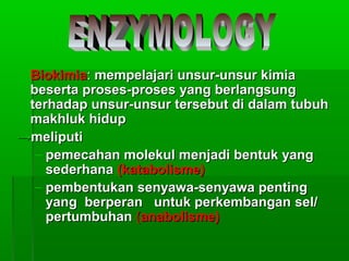 Enzim dan koenzim | PPT