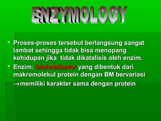 Enzim dan koenzim | PPT