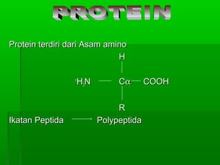 Enzim dan koenzim | PPT