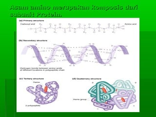 Enzim dan koenzim | PPT
