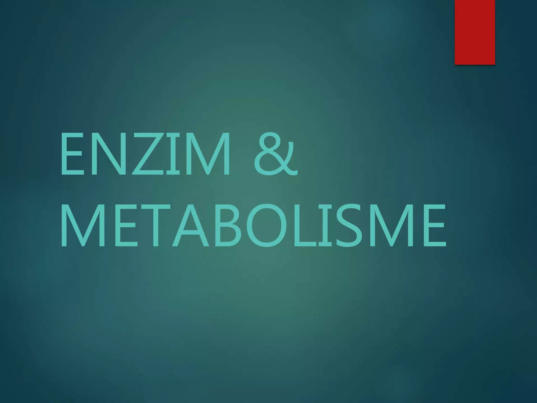 Enzim dan Metabolisme.ppt
