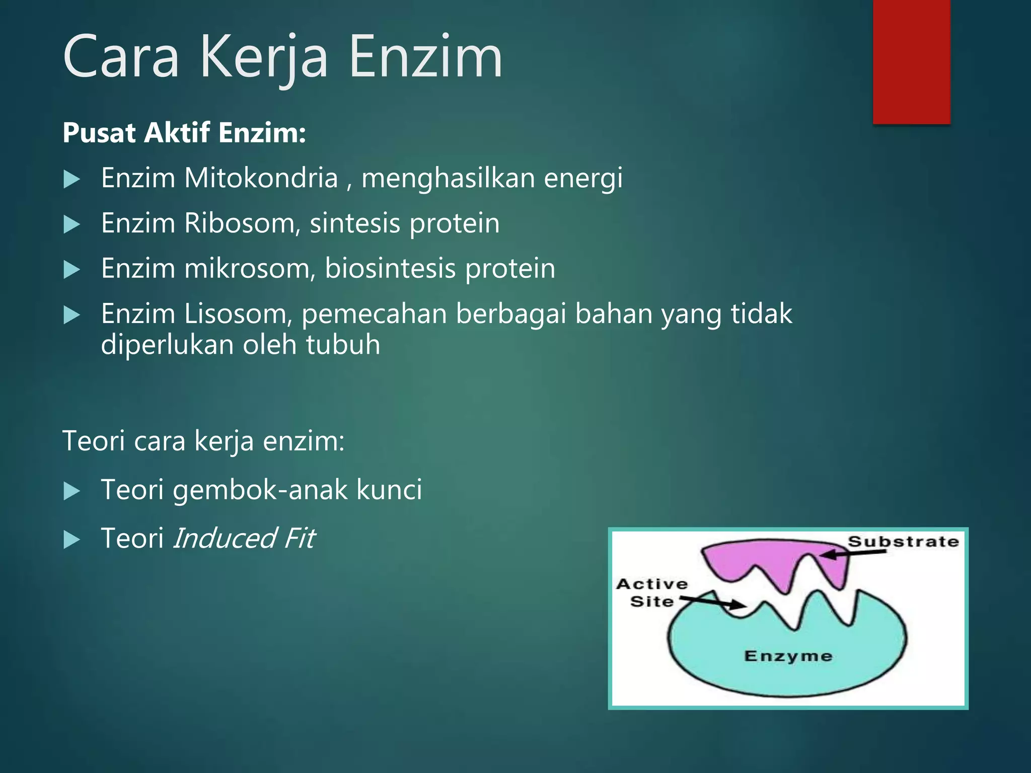 Enzim dan Metabolisme.ppt