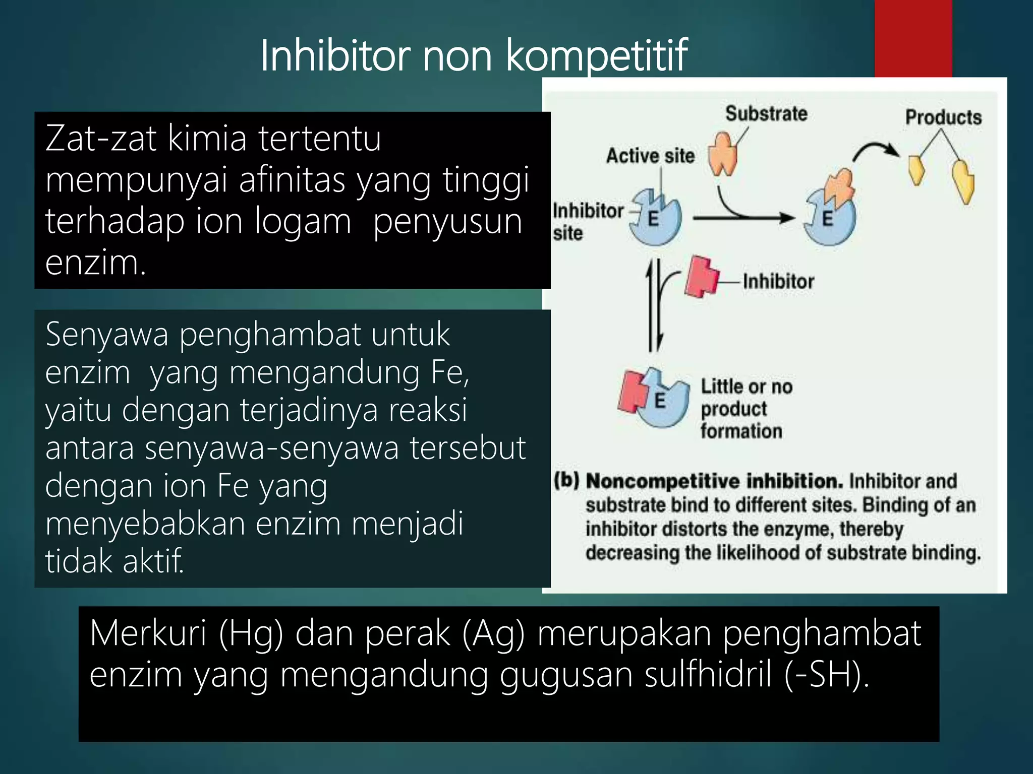 Enzim dan Metabolisme.ppt