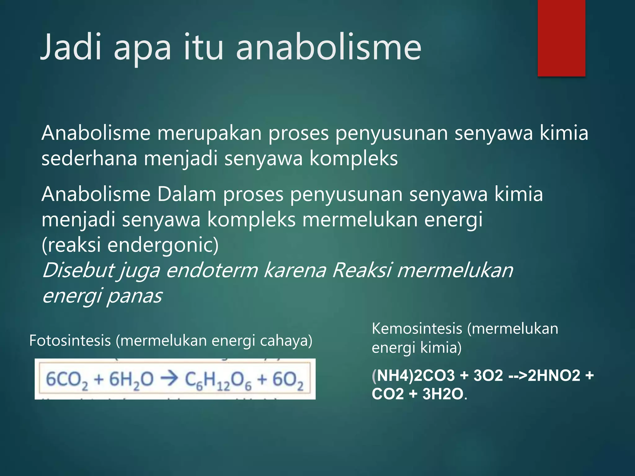 Enzim dan Metabolisme.ppt