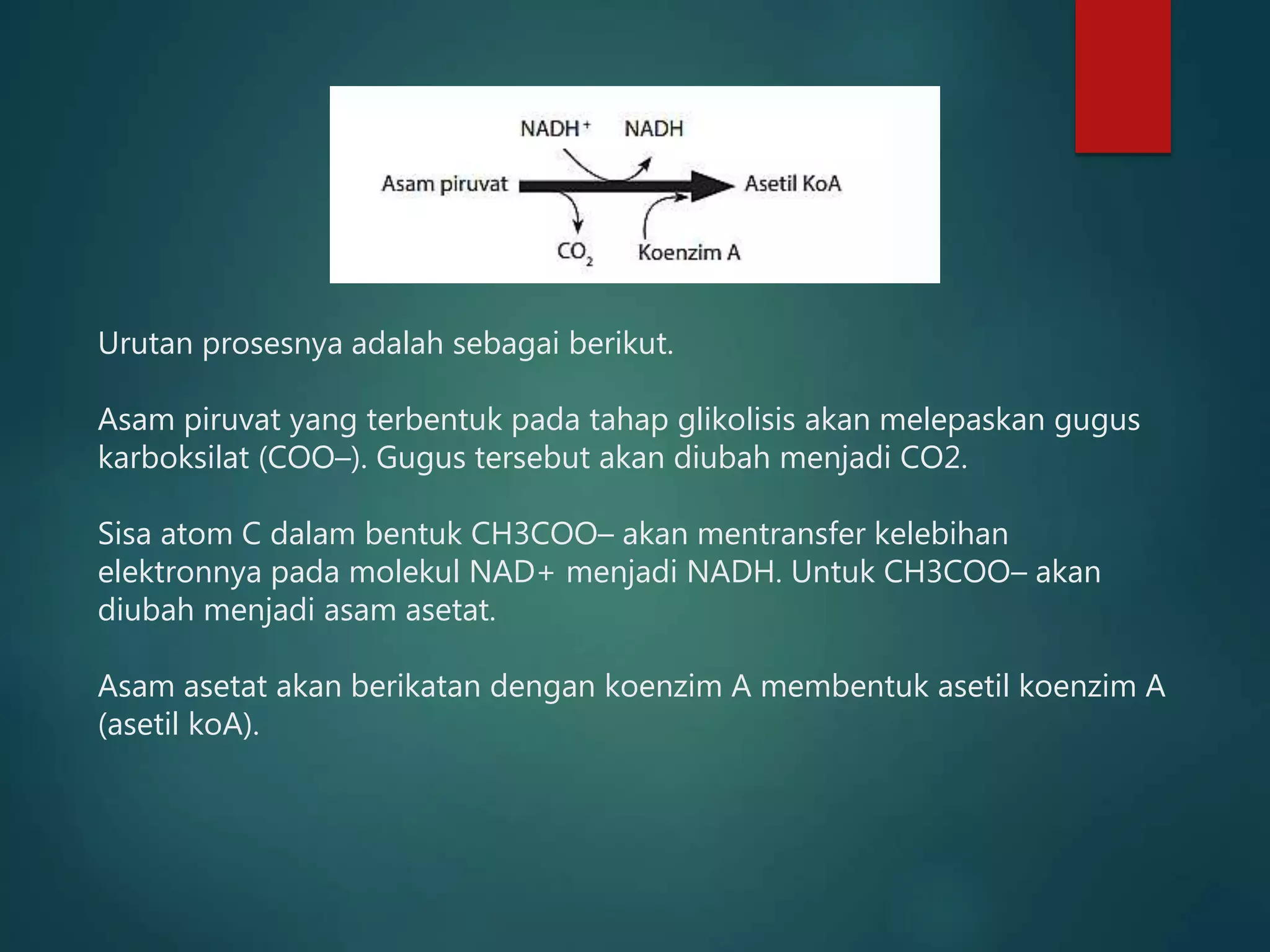 Enzim dan Metabolisme.ppt