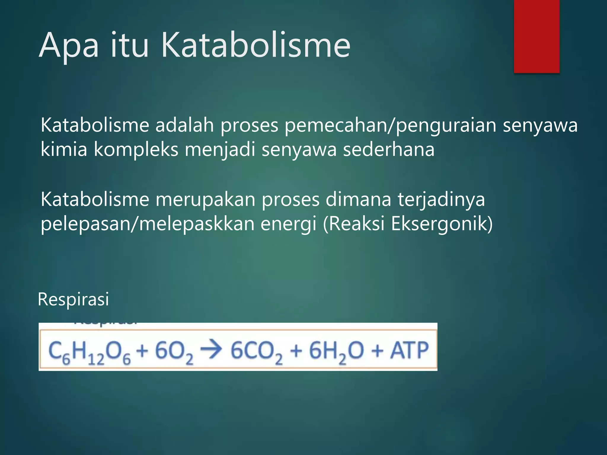 Enzim dan Metabolisme.ppt
