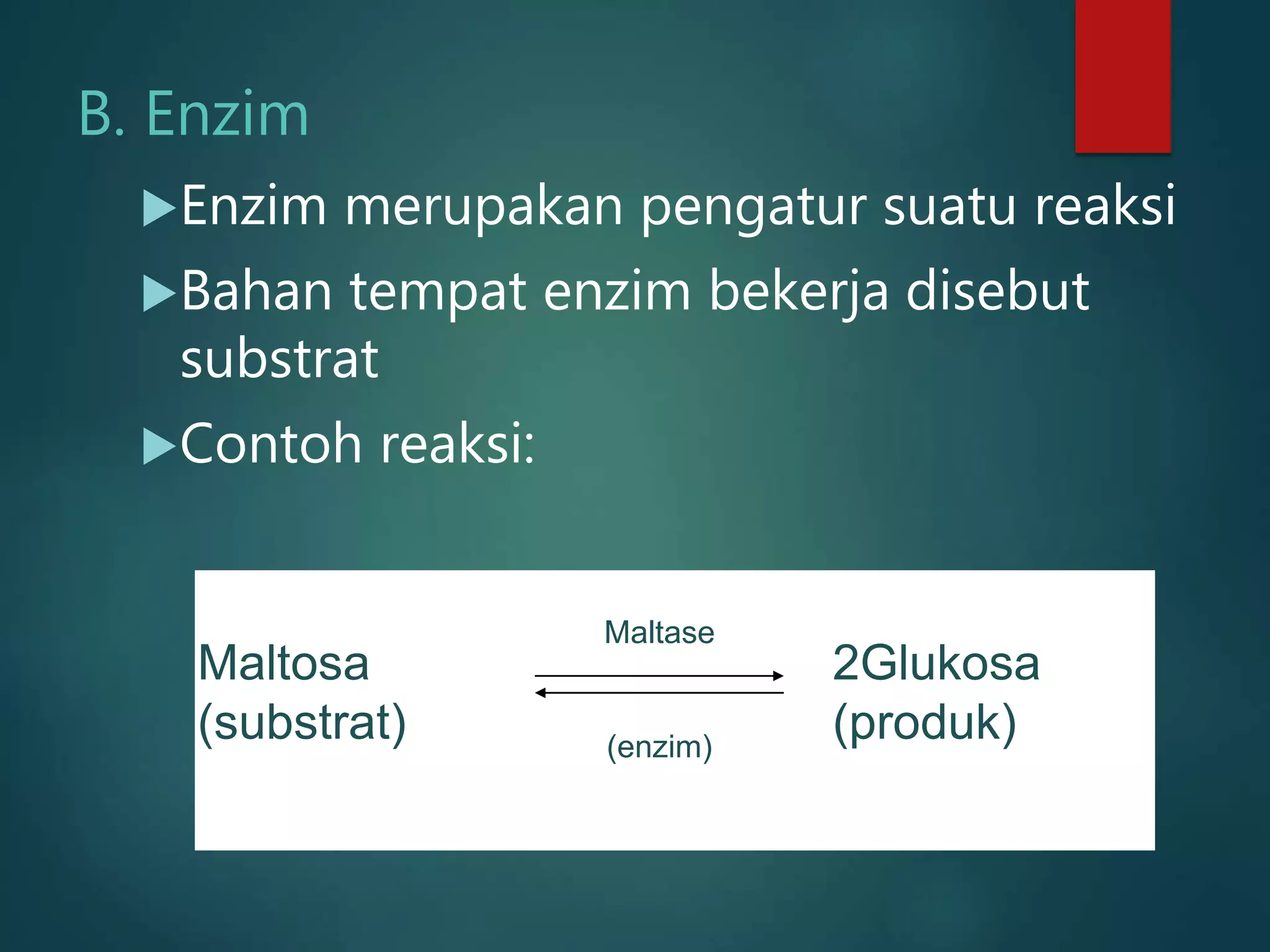 Enzim dan Metabolisme.ppt