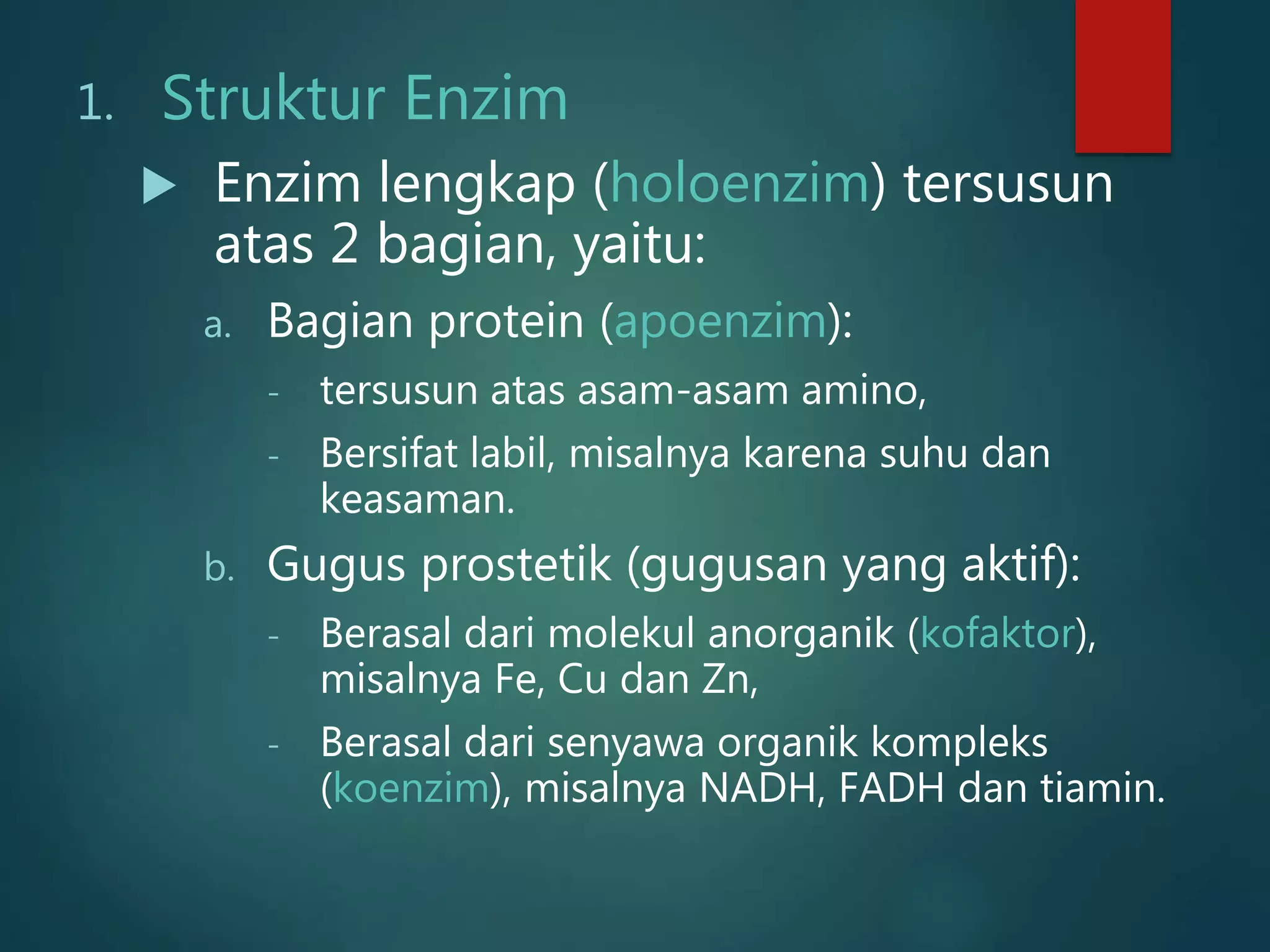 Enzim dan Metabolisme.ppt