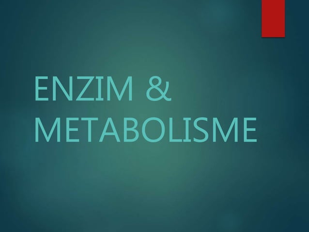 Enzim dan Metabolisme.ppt