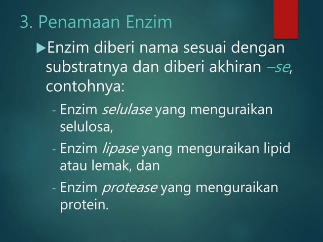 Enzim dan Metabolisme.ppt