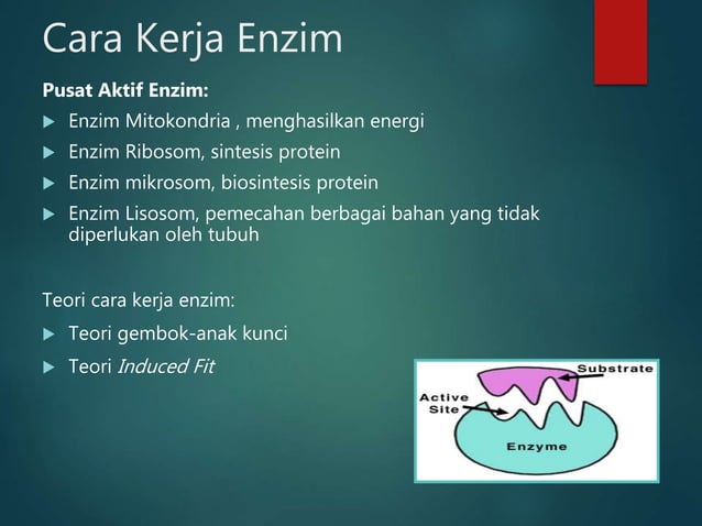 Enzim dan Metabolisme.ppt