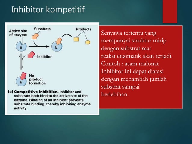 Enzim dan Metabolisme.ppt