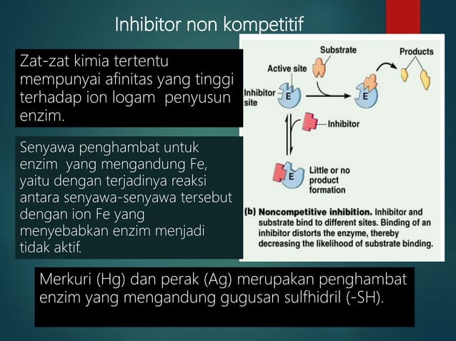 Enzim dan Metabolisme.ppt