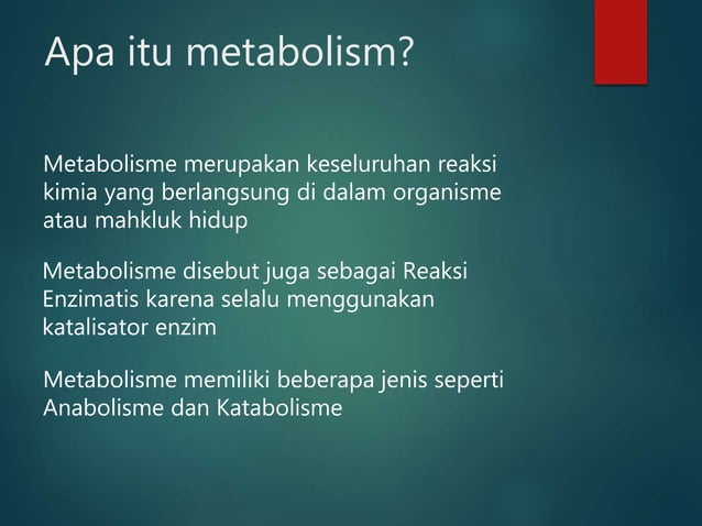 Enzim dan Metabolisme.ppt