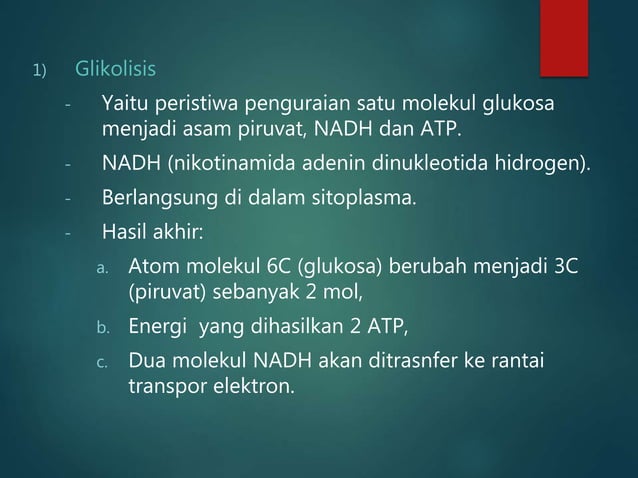Enzim dan Metabolisme.ppt