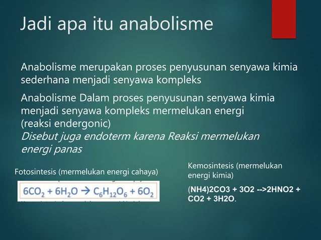 Enzim dan Metabolisme.ppt