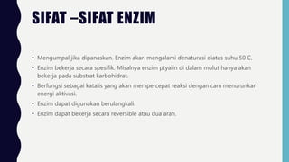 Enzim dan metabolism sel | PPTX