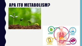 Enzim dan metabolism sel | PPTX