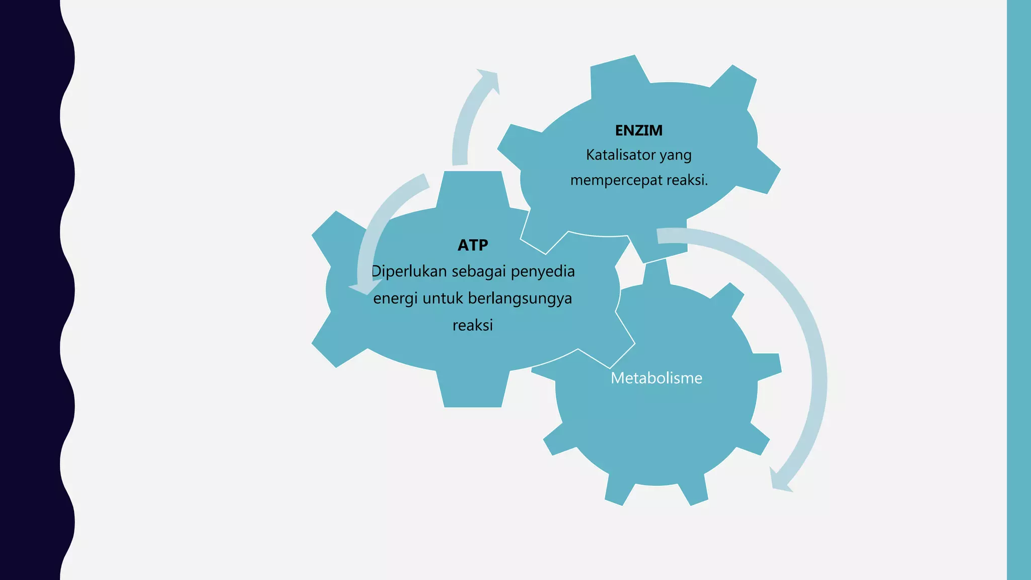 Enzim dan metabolism sel | PPTX