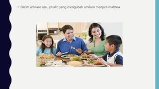Enzim dan metabolism sel | PPTX