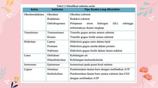 Ppt Botani Farmasi: 2. Enzim dan Perannya | Kelas: 2A | Dosen: Yayuk ...