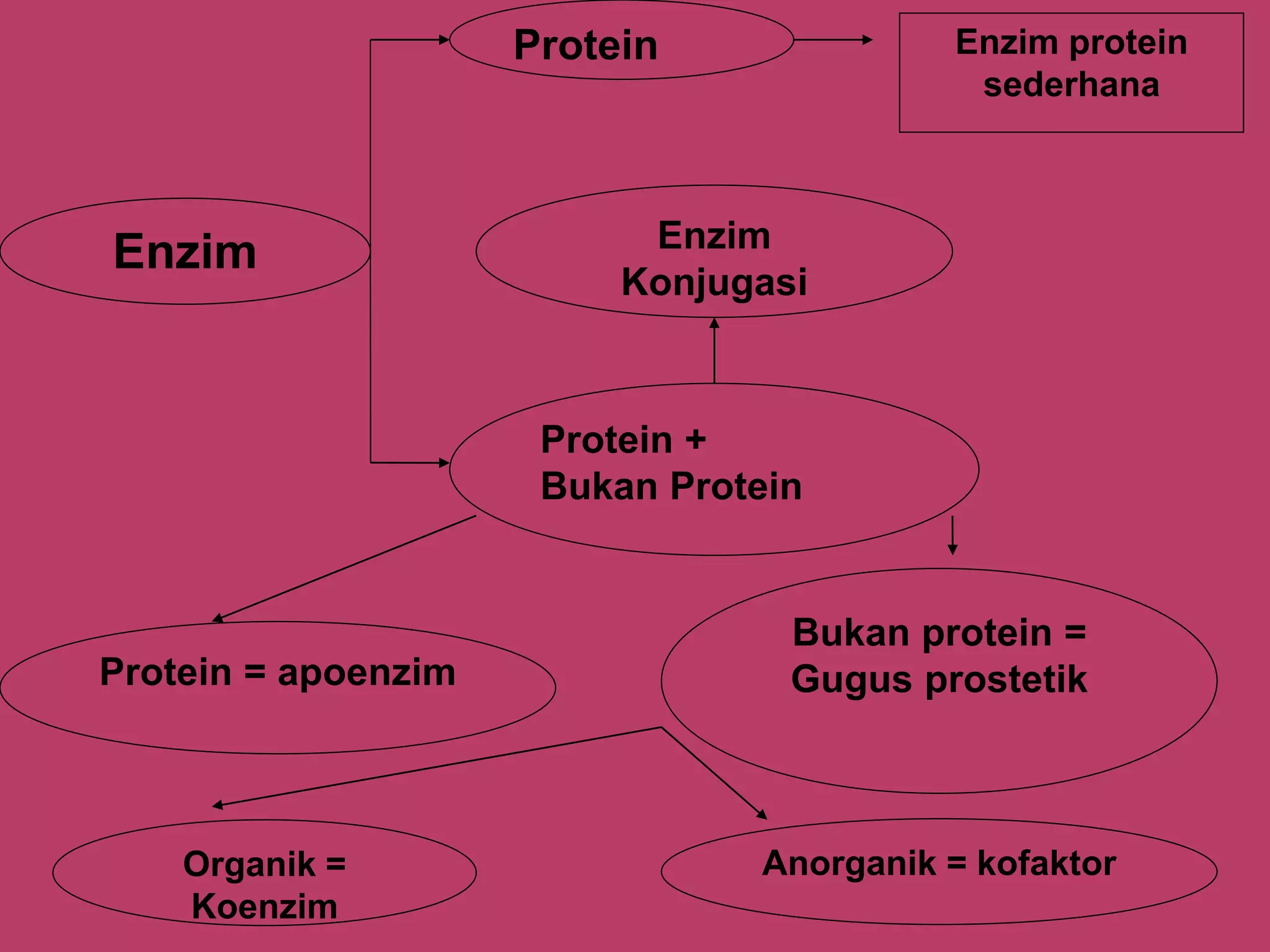 Enzim - Biokimia | PPTX
