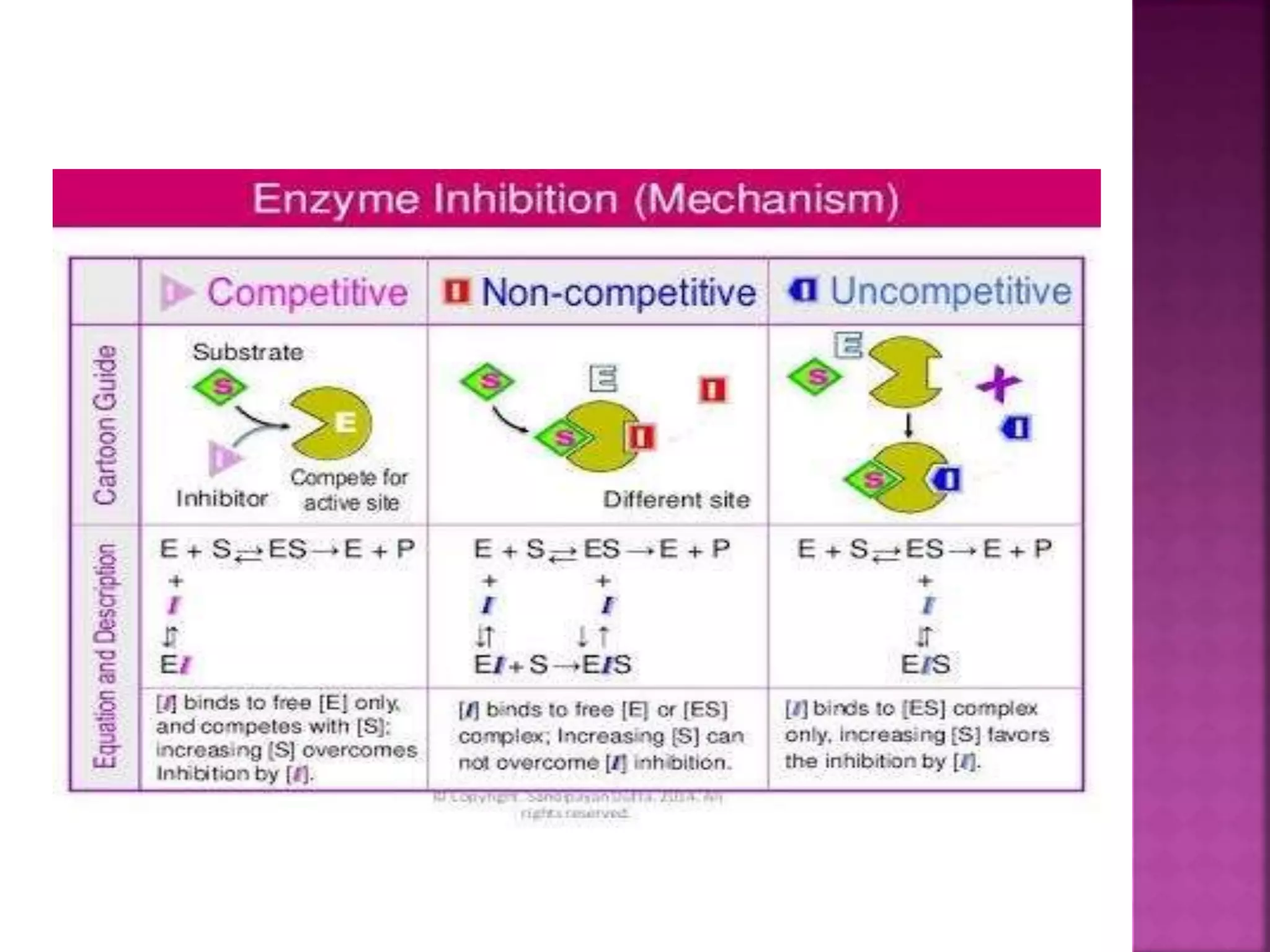 Enzim - Biokimia | PPTX