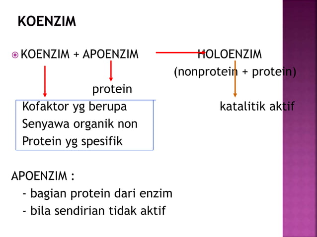 Enzim - Biokimia | PPTX