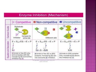 Enzim - Biokimia | PPTX