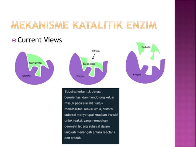 Enzim - Biokimia | PPTX