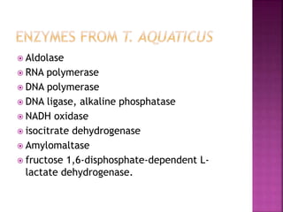 Enzim - Biokimia | PPTX