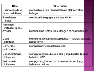 Enzim - Biokimia | PPTX