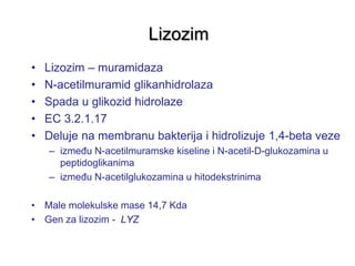 Enzimi bubrega i_likvora | PDF