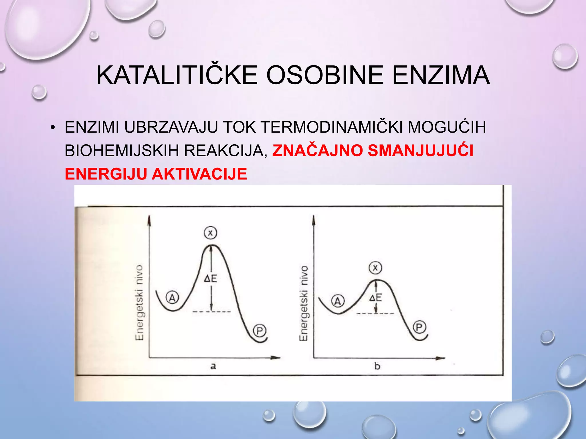 ENZIMI- BIOKATALIZATORI | PPTX