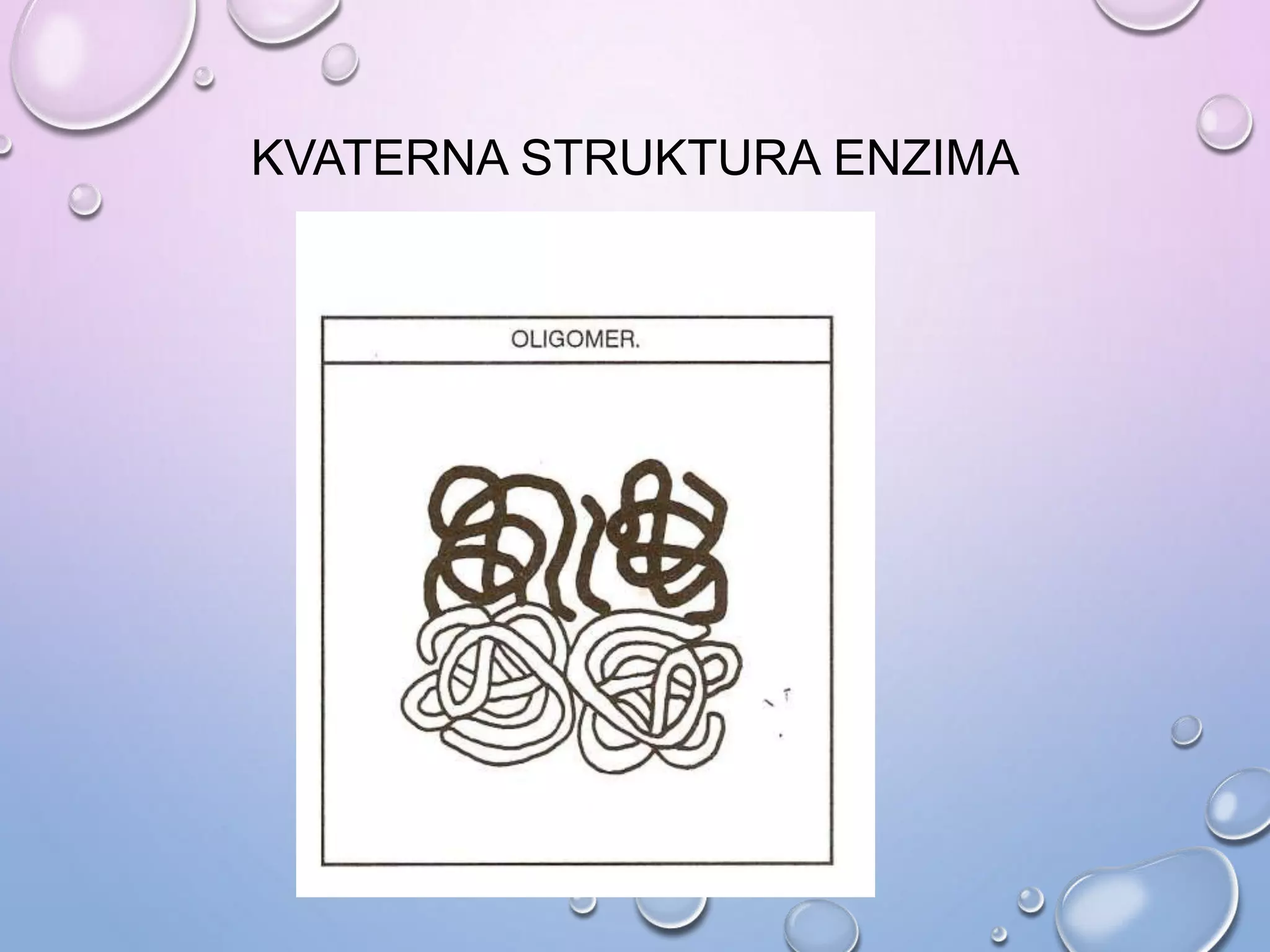 ENZIMI- BIOKATALIZATORI | PPTX