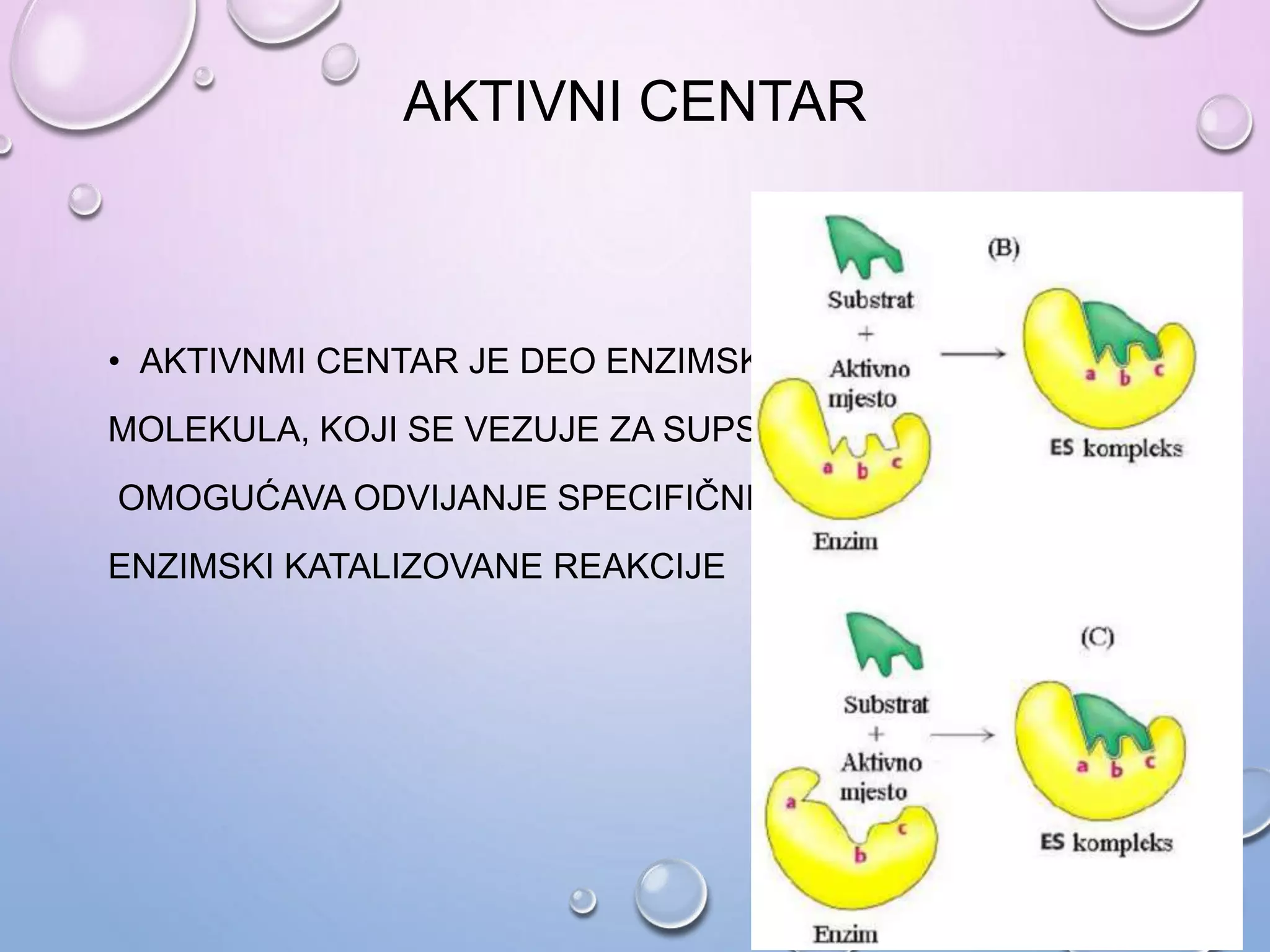 ENZIMI- BIOKATALIZATORI | PPTX
