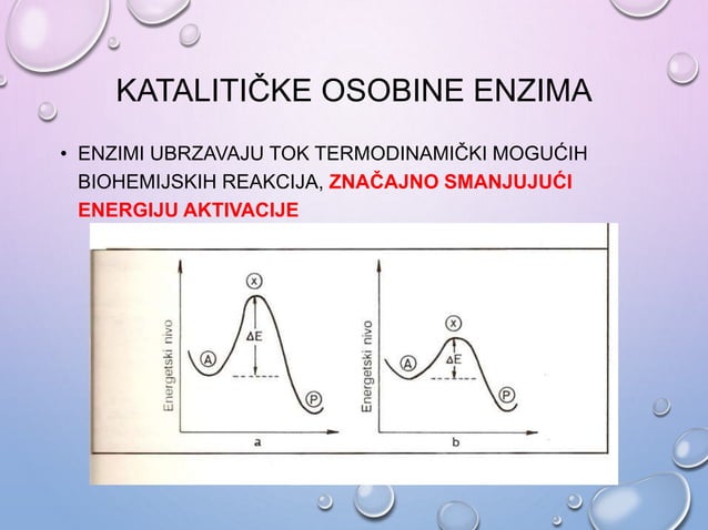 ENZIMI- BIOKATALIZATORI | PPTX