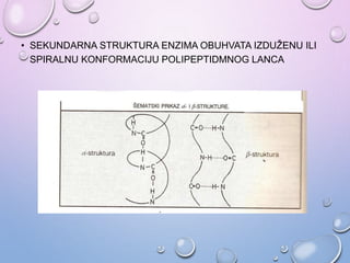 ENZIMI- BIOKATALIZATORI | PPTX