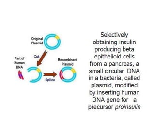 Enzim insulin eksogen or exogenous Insulin | PPTX