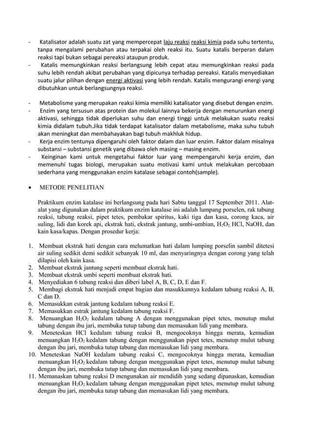 Enzim katalase | DOC